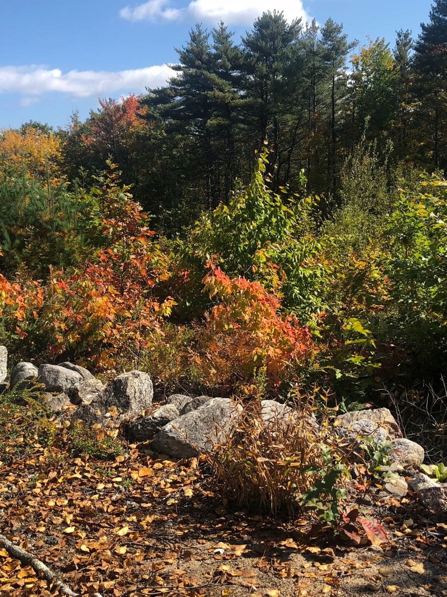 101033cdv_photo_005 – Weather Updates 24/7 by Meteorologist joe cioffi
